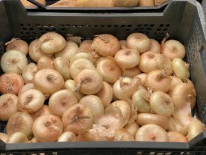 FreshPoint | Cipollini Onion: Small but Mighty
