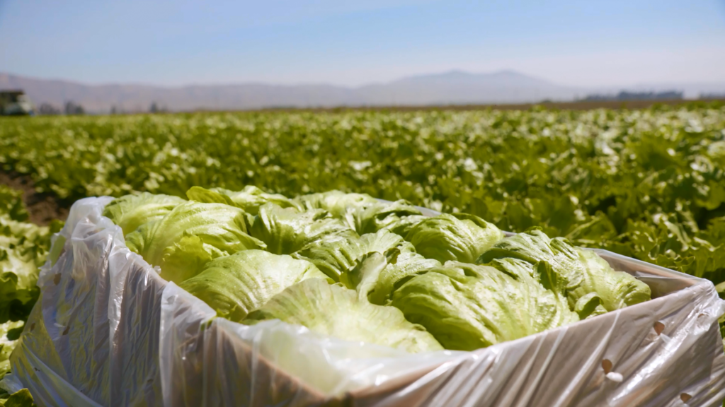 FreshPoint | The Significant Cost Benefits of Natural Brand