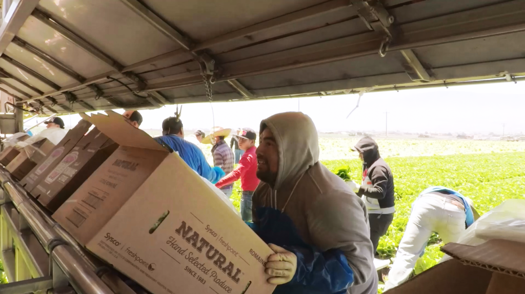 FreshPoint | The Significant Cost Benefits of Natural Brand