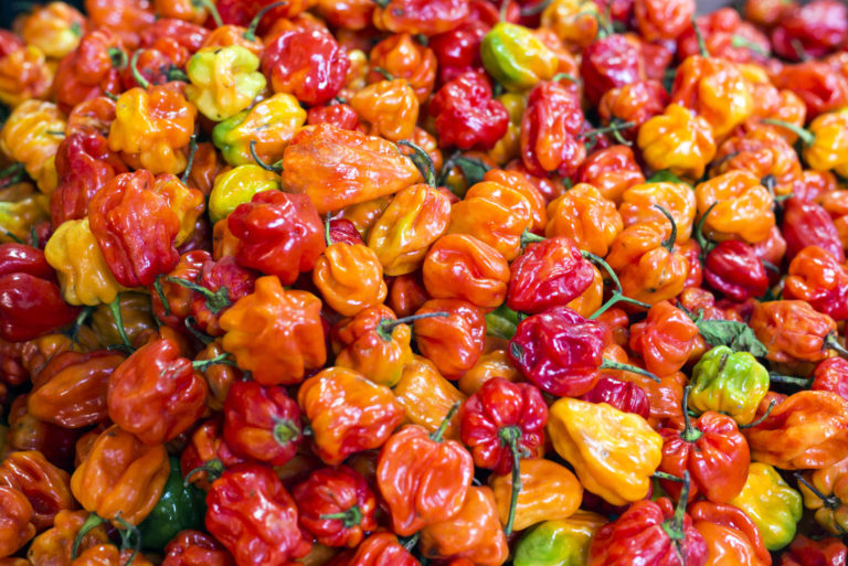 FreshPoint | Produce 101: Peppers