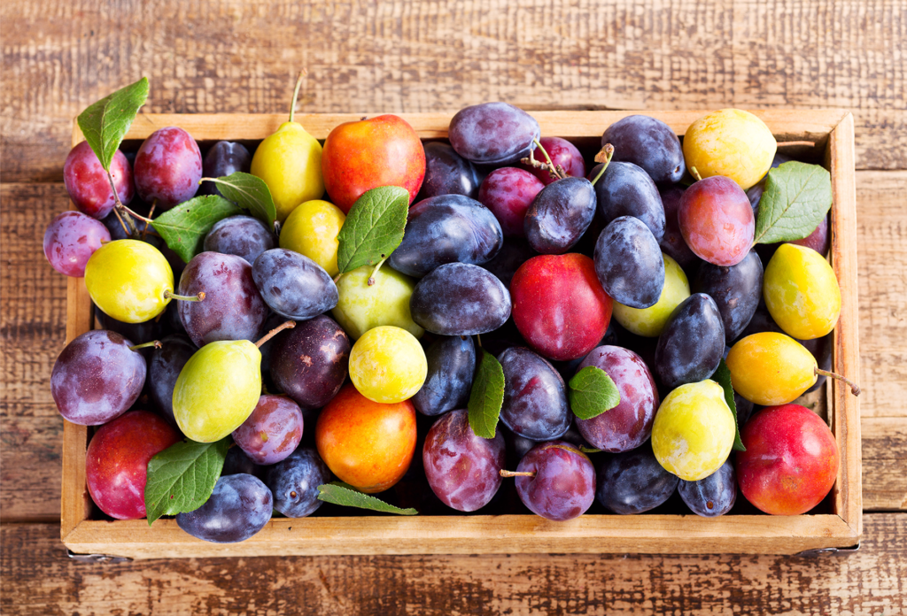 FreshPoint | freshpoint produce 101 stone fruit plums