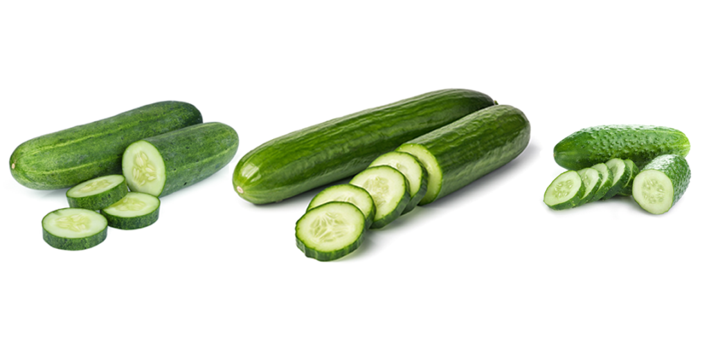 FreshPoint | Produce 101: Cucumbers