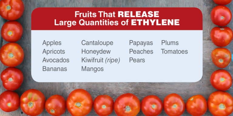 FreshPoint | Produce 101: Tomatoes