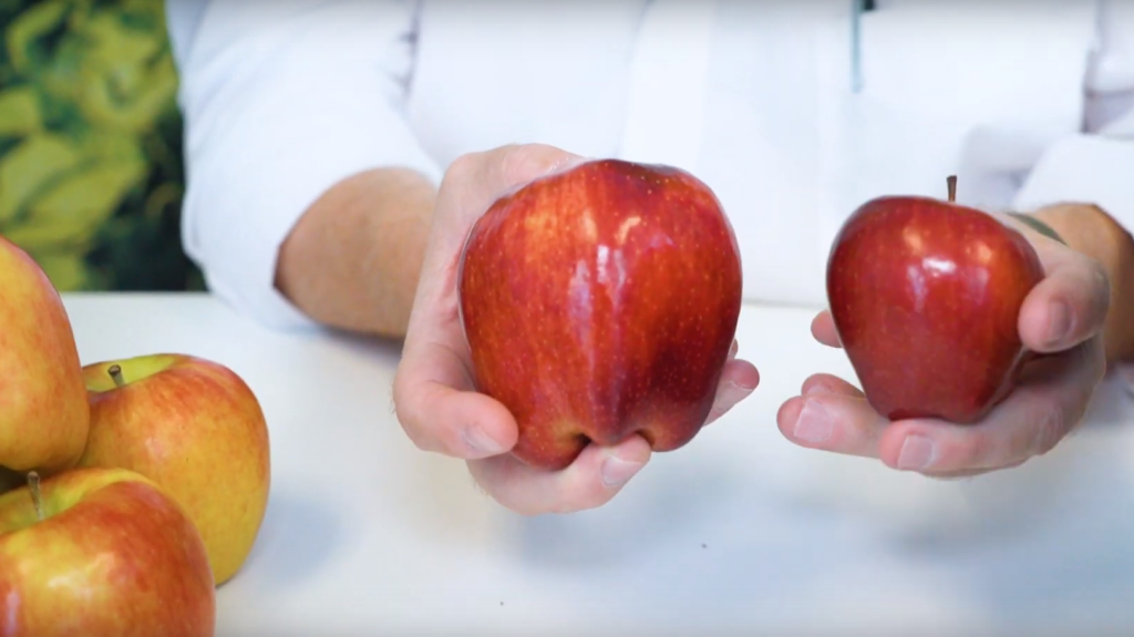 FreshPoint | Produce 101: Apples