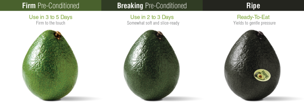 FreshPoint | FreshPoint-Produce-101-Avocado-ripening-chart