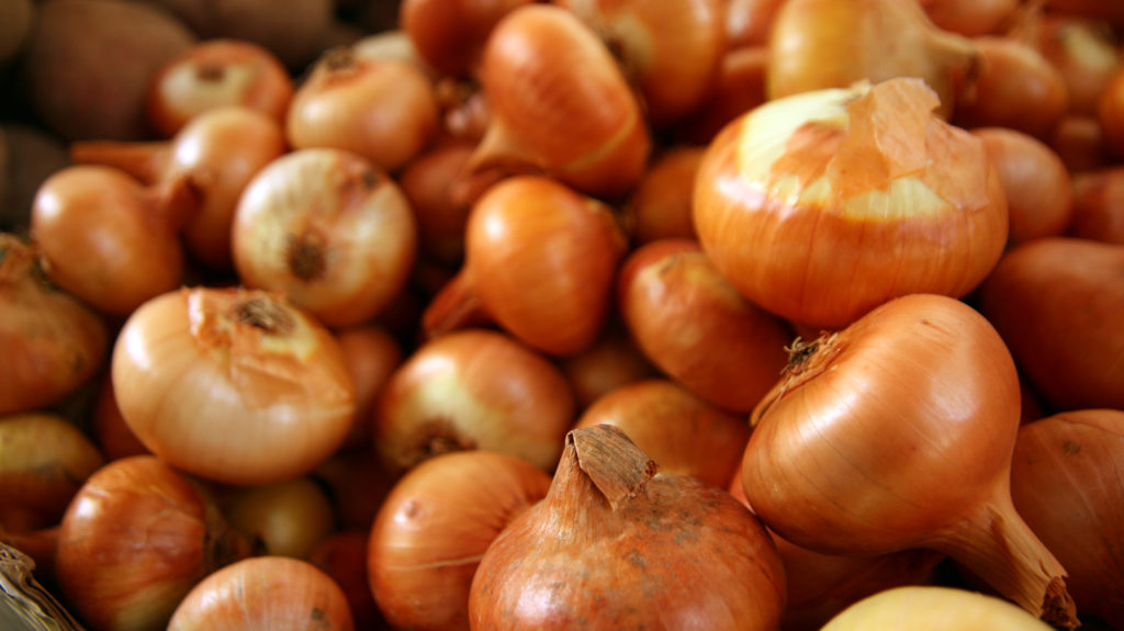 FreshPoint | Produce 101: Carrot, Onion, and Celery