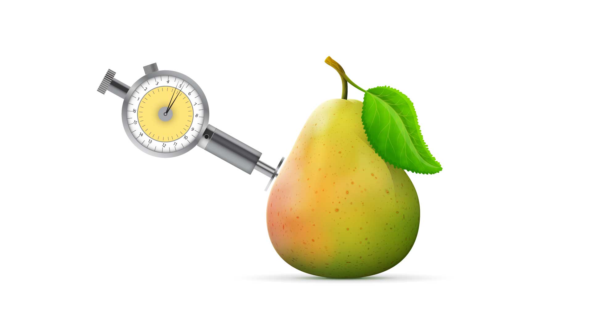 FreshPoint | Produce 101: Pears