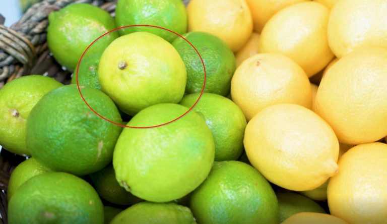 FreshPoint | Produce 101: Citrus