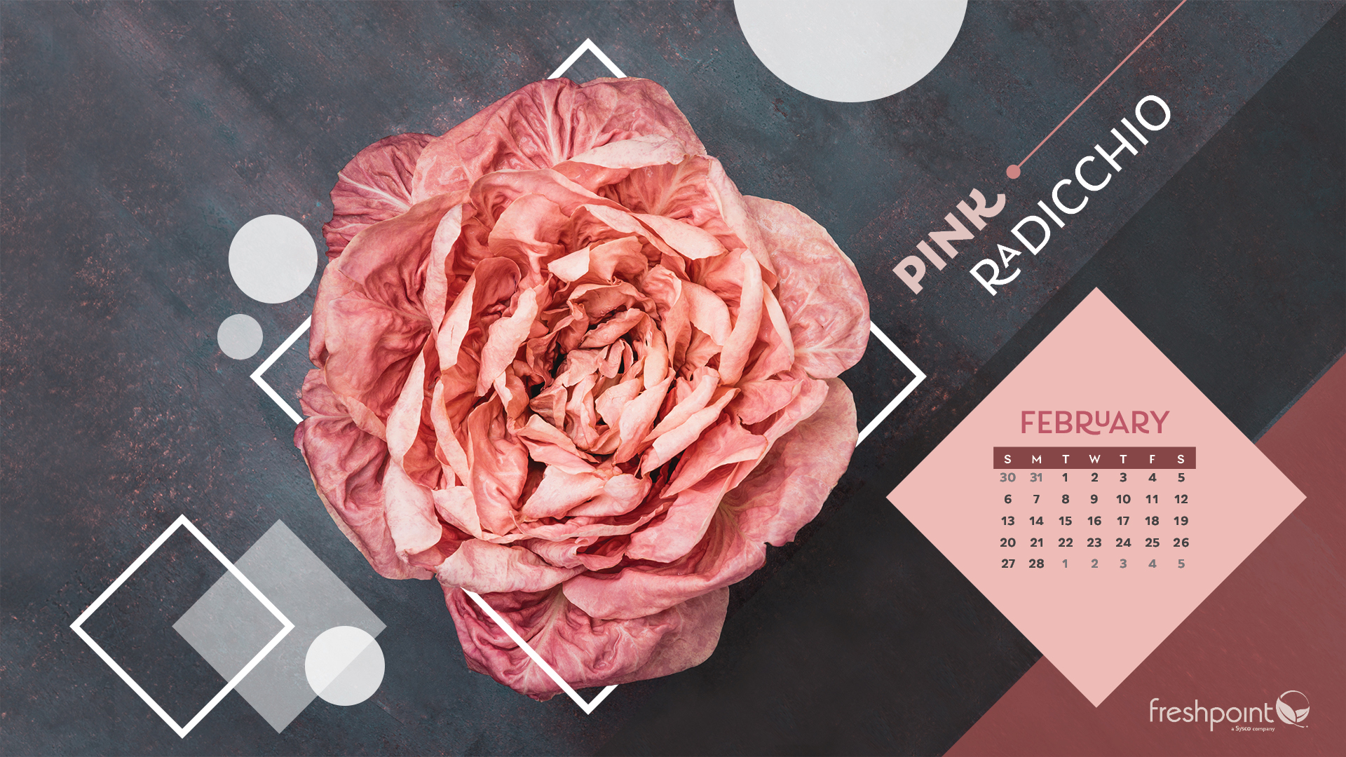 FreshPoint | Wallpaper-02_February_FreshPoint_Produce_1920_1080