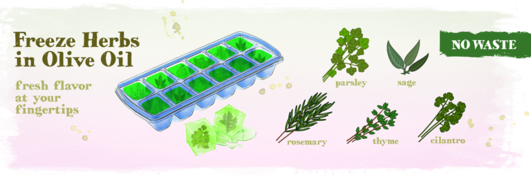 FreshPoint | Produce 101: Herbs