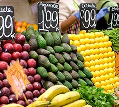 FreshPoint | availability-guides