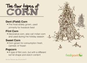 FreshPoint | corn-types-freshpoint-produce-1