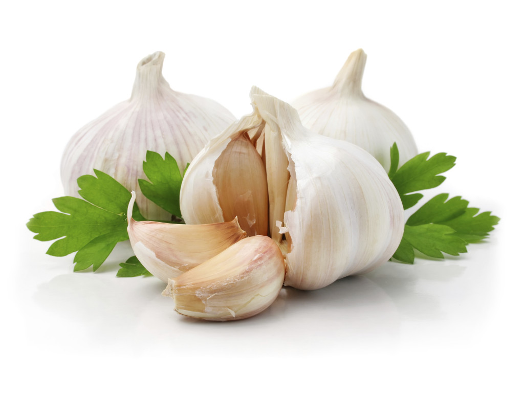FreshPoint | ripe garlic fruits with green parsley leaves